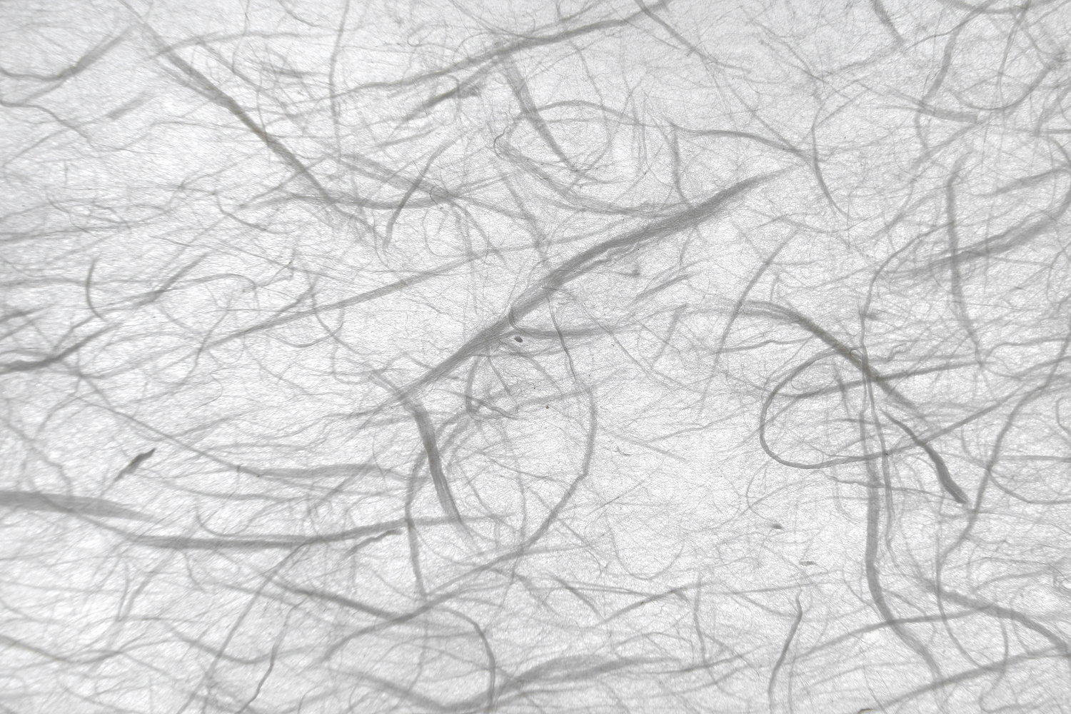 Shoji pannelli carta di riso giapponese, washi, washitsu - Ideal